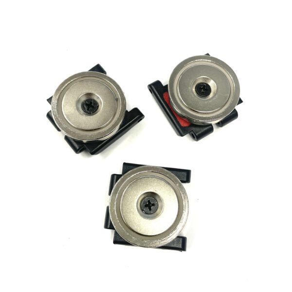 Double Alpha Academy Lynx Magnet with Spacer